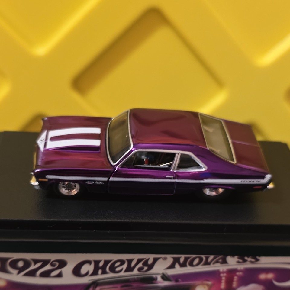 Hot Wheels Red Line Club 1972 Nova SS Yenko 1:64 Purple Diecast w/ Case ...