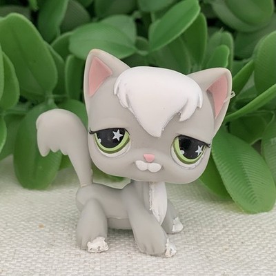 🐾 Littlest Pet Shop LPS #954 Long Hair Angora Cat | eBay Australia