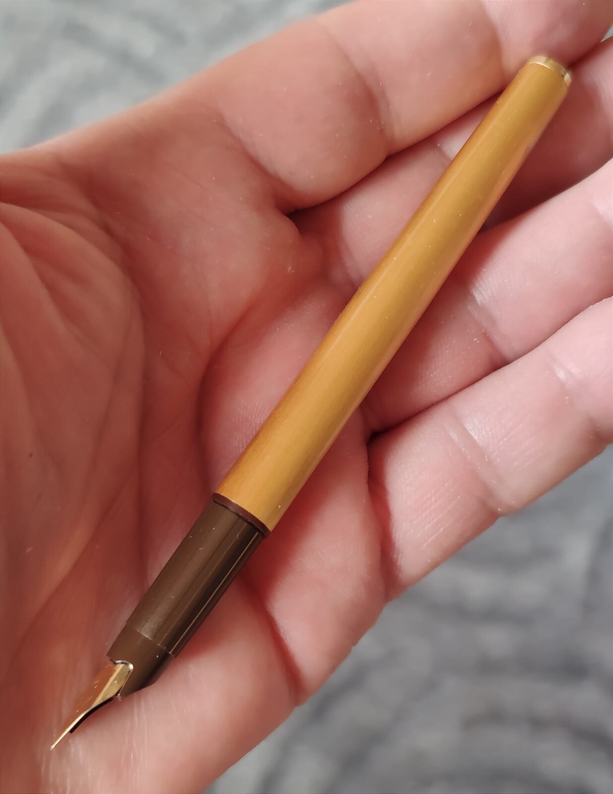 🔴Gold plated REXPEN Diplomat TOZ PENKALA Zagreb, fountain pen🔴 | eBay UK