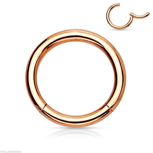 Segment Hinged Captive Lip Ring 16 Gauge 3/8" Rose Gold IP * | eBay