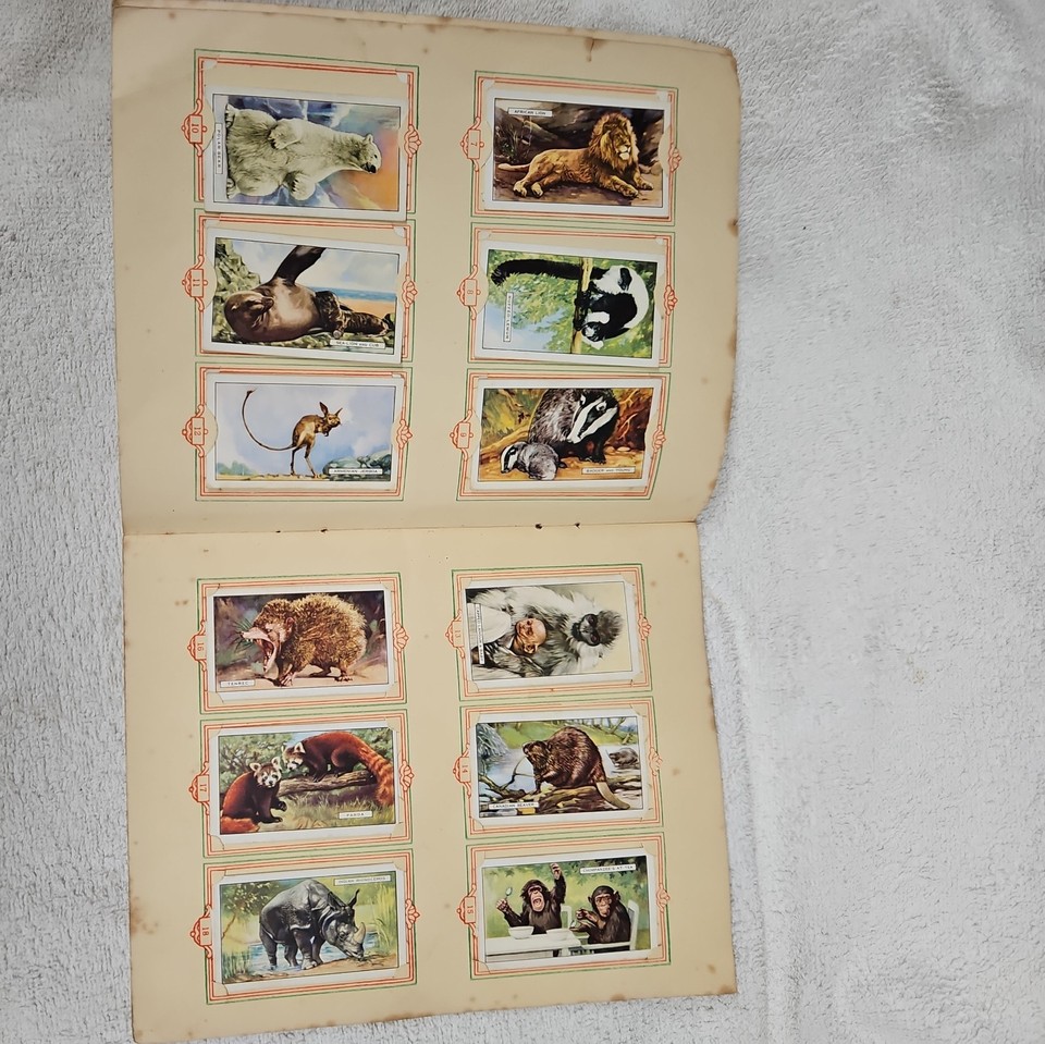 PARK DRIVE/GALLAHER Cigarette card Album,complete 48 Wild Animals | eBay UK