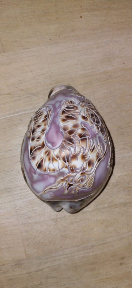 Vintage Hand Carved Sea Shell Dragon Cowrie Seashell | eBay