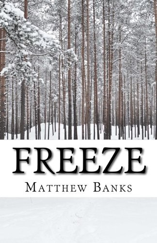 FREEZE By Matthew J. Banks **BRAND NEW** 9781534856189| eBay