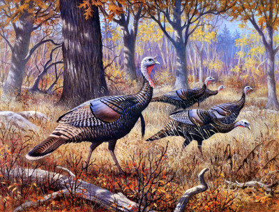 Wall art Canvas Print Colorful Turkey Oil painting Printed on canvas ...