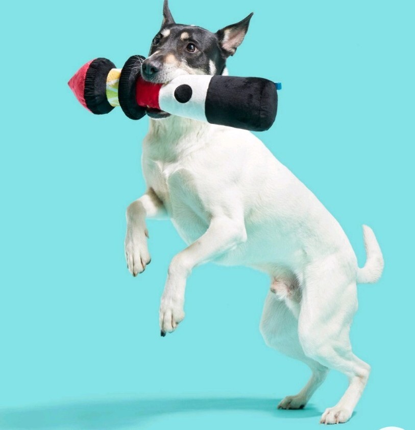 Bark Box 17" Lighthouse Squeaky Dog Toy | eBay