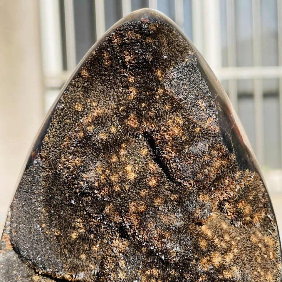 1174g Large Natural Dragon Septarian Septarium Crystal Egg Geodes ...