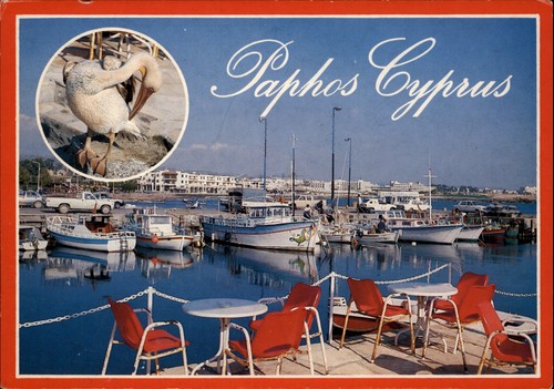 Fishing Harbour Paphos Cyprus vintage postcard c979 | eBay