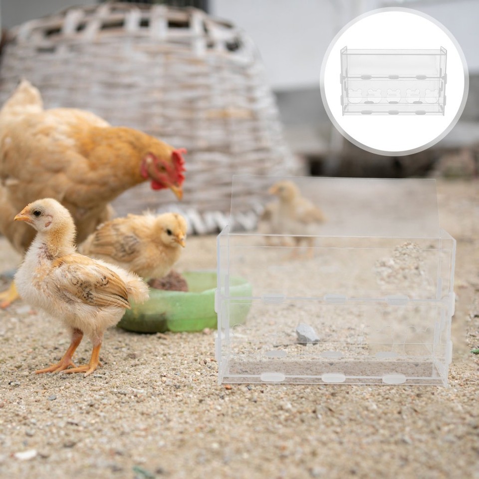 Chicken Brooder Poultry Feeding Container Feeders Water Drinkers | eBay ...