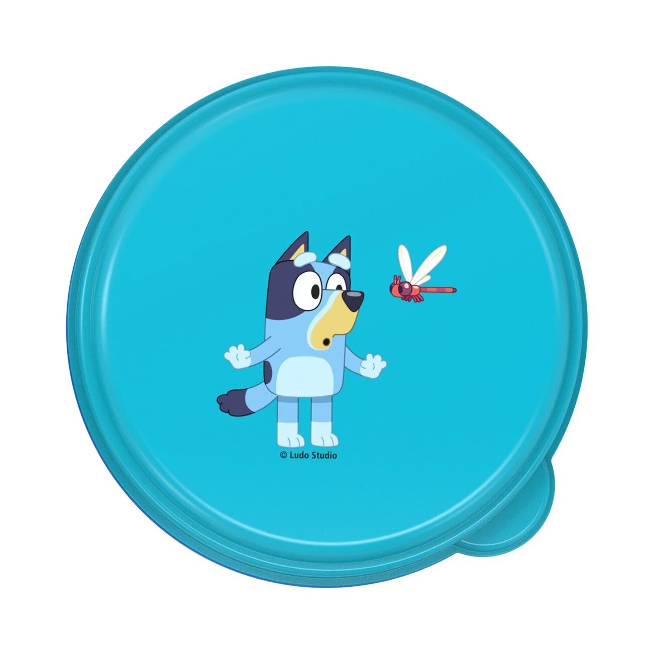 Bluey Sandwich Container & Round Container Set of 2 Blue | eBay