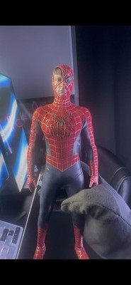 Hot Toys Spider-Man 1:6 Scale Custom Battle Damaged Figure by Riley | eBay