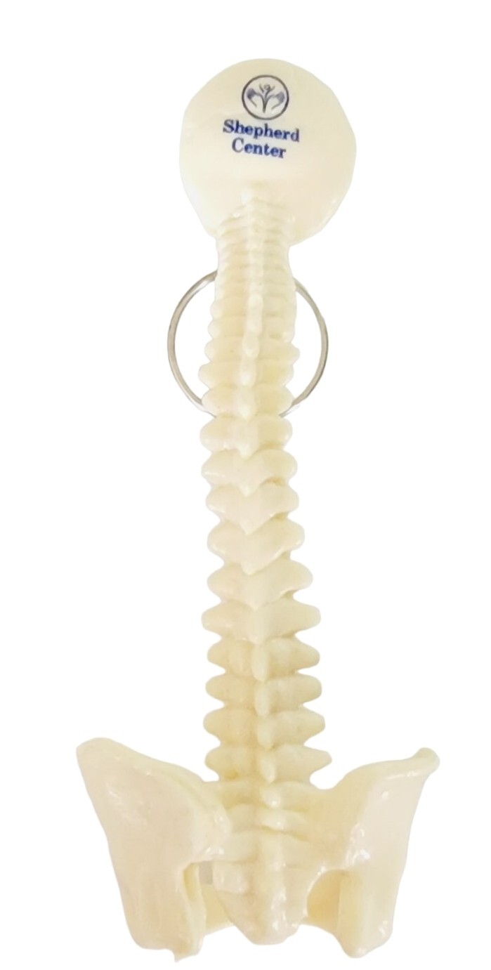 Shepherd Center Skeleton Spine Keychain Back Body Bones Advertising ...