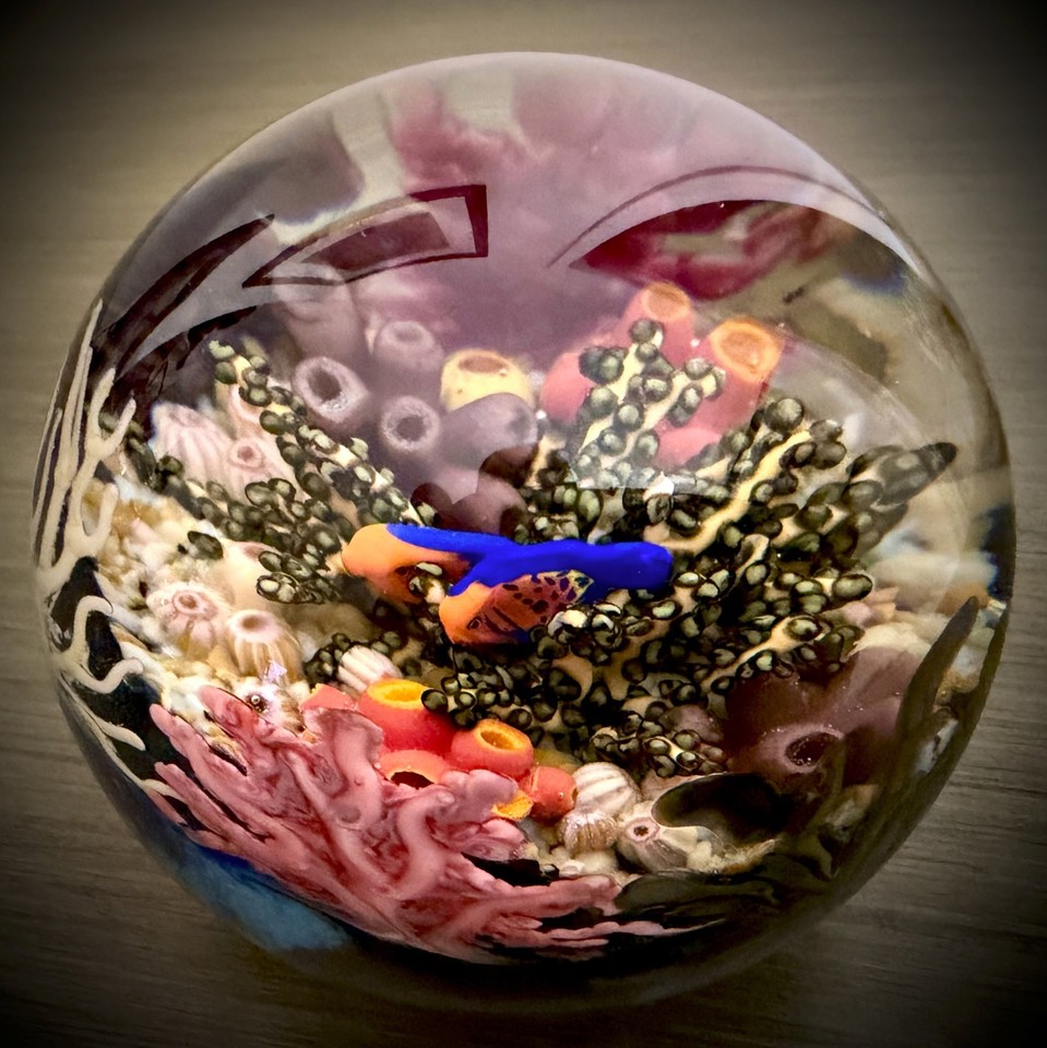 Cathy Richardson 2004 Tropical Fish Sea Anemone Coral Reef Paperweight ...