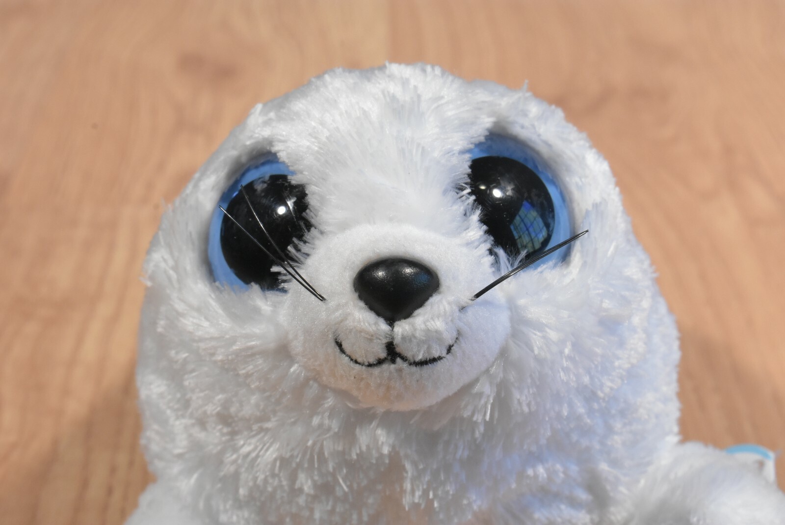 Ty Beanie Boos Iceberg the White Seal 2012 Beanbag Plush(310-440) | eBay