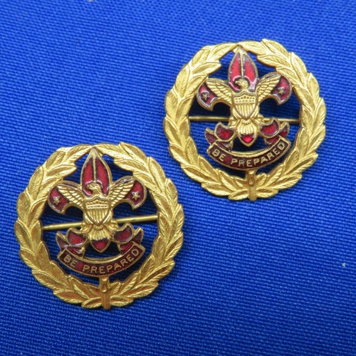 Boy Scout Asst. District Executive Lapel Pin Set 254C2 | eBay