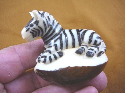 TNE-ZEB-227) baby striped Zebra foal TAGUA NUT palm nuts figurine ...