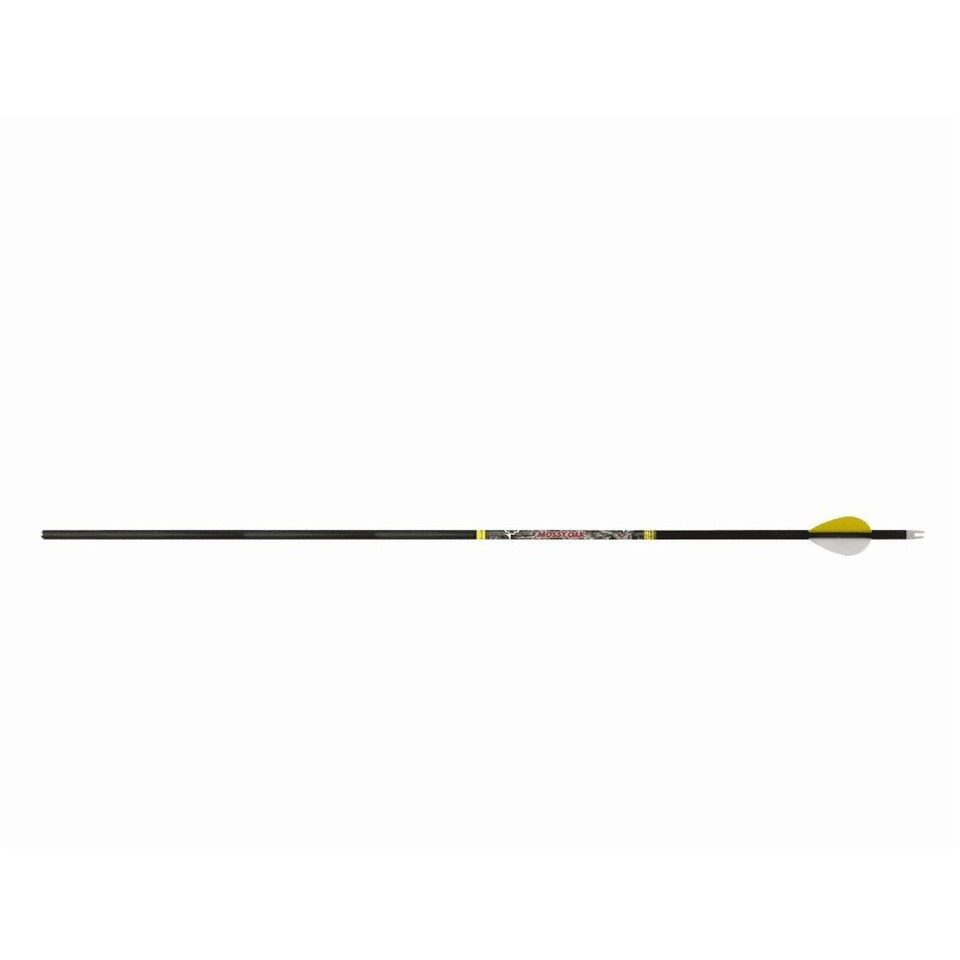 Carbon Archery Arrows for Hunting and Target Practice with Replaceable ...