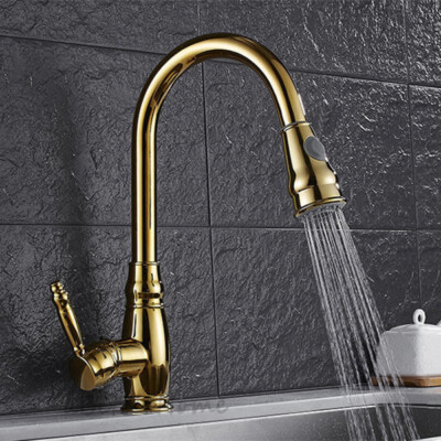 Polished Gold Kitchen Pull Out Spray Sink Faucet One Handle Swivel ...