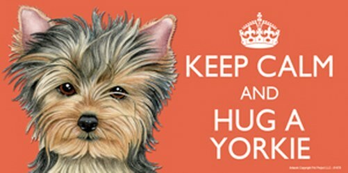 Keep Calm And Love Yorkshire Terriers Yorkshire Blend 15 Of The