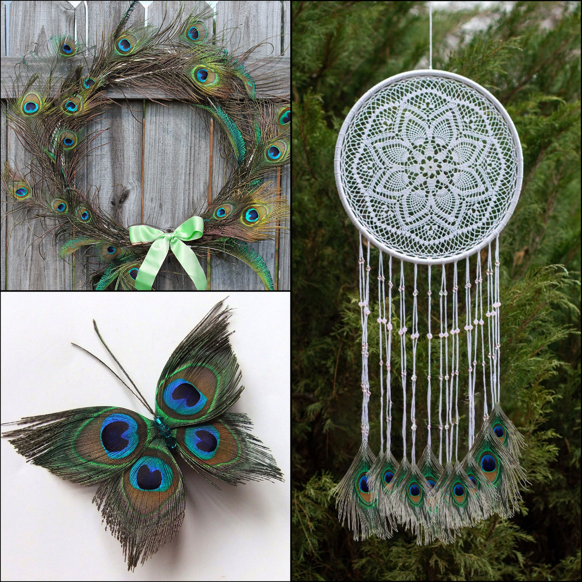 Diy Peacock Feather Wall Art