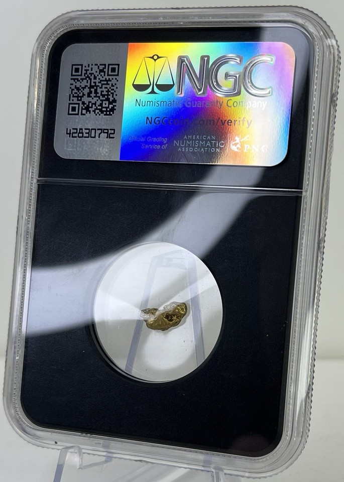 NGC Vault Box - Mexico Caborca - Gold Nugget 0.85 Grams - Nugget Pax | eBay