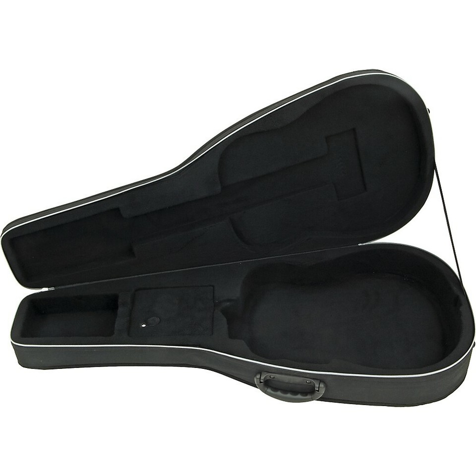 Road Runner Polyfoam Acoustic Guitar Case | eBay