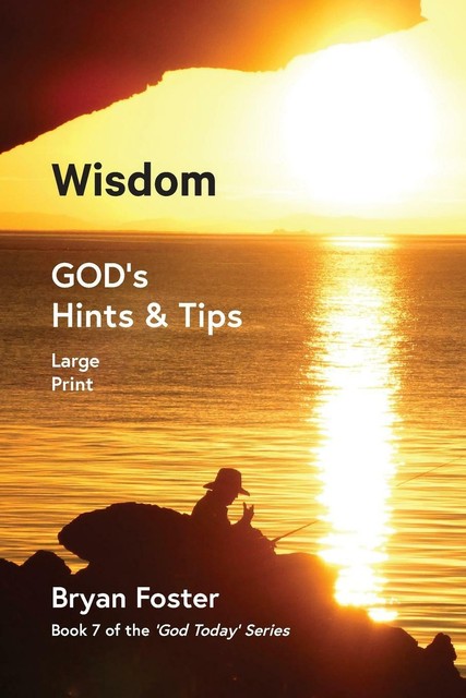Wisdom von Bryan W Foster (2021, Taschenbuch) online kaufen | eBay.de