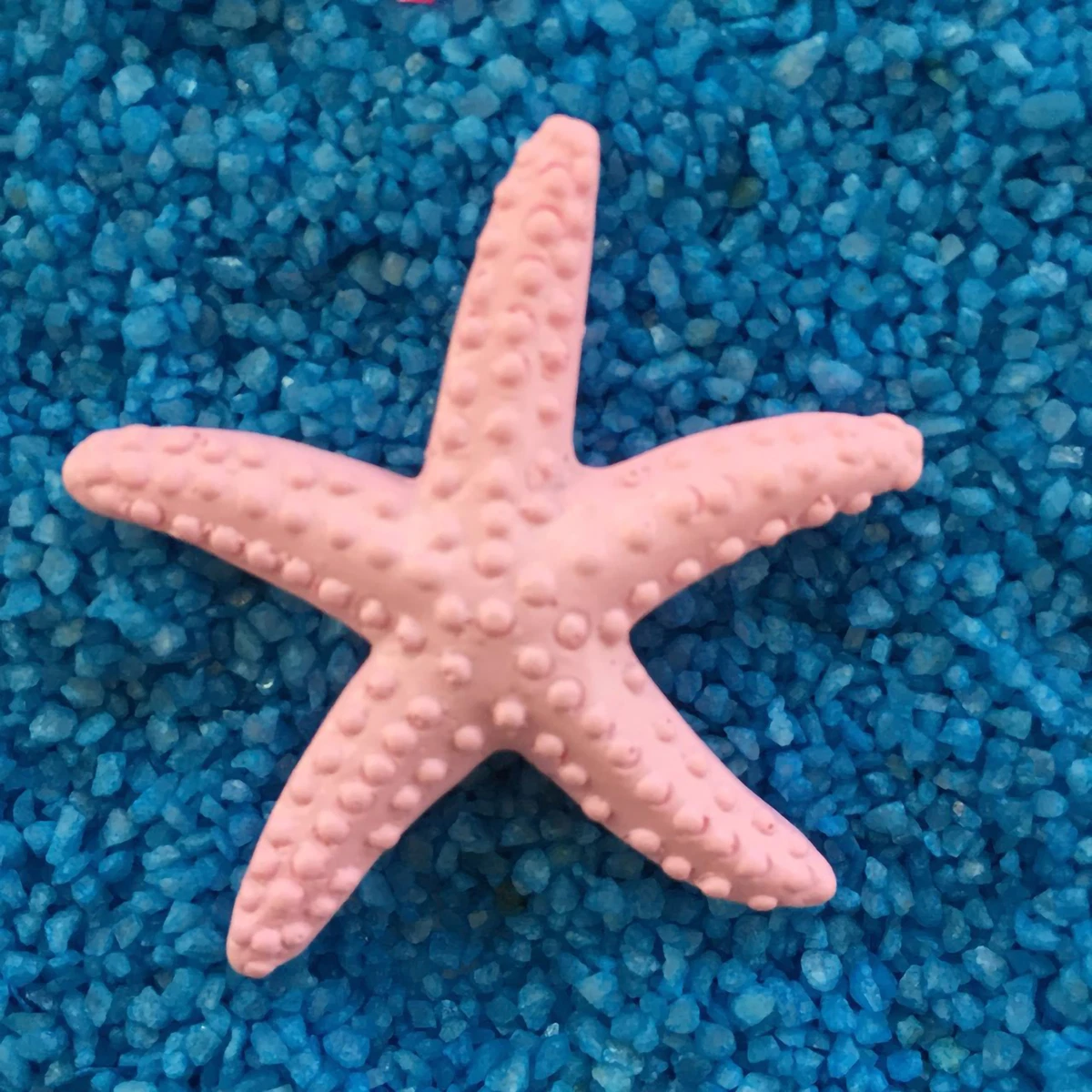 Why Are Starfish Brightly Colored
