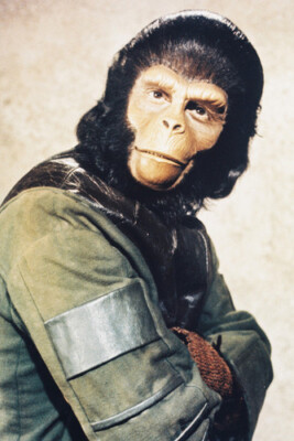 Planet of the Apes Roddy Mcdowall 24x36 Poster arms folded as Galen tv ...