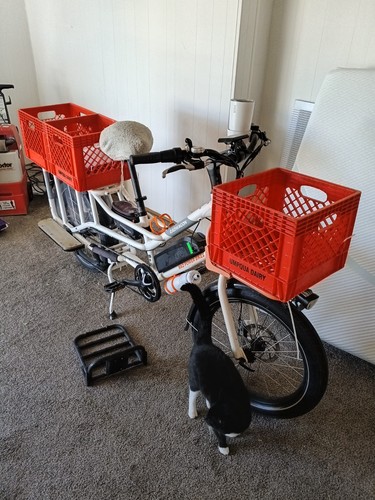 Rad Power Bike Wagon, 4th Gen. with caboose and front rack | eBay