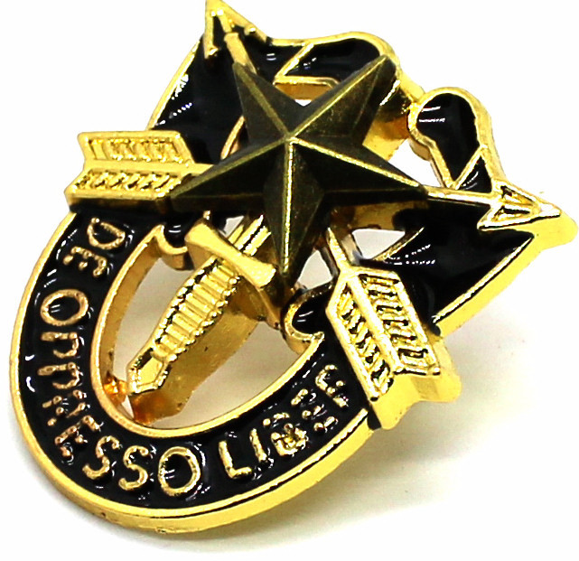 Special Forces Crest DI Pin US Army SF STAR SOG Insignia GOLD Lapel | eBay