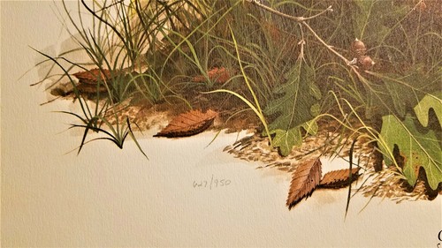 Don Balke - Art Print - Gray Squirrels - Limited Edition - Signed ...