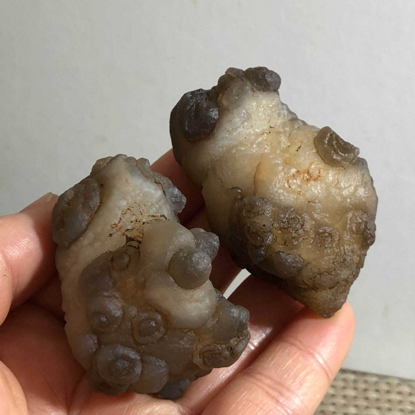 2pcs Beautiful Natural Gobi Agate Eye Agate Crystal Stone Specimen 130g ...