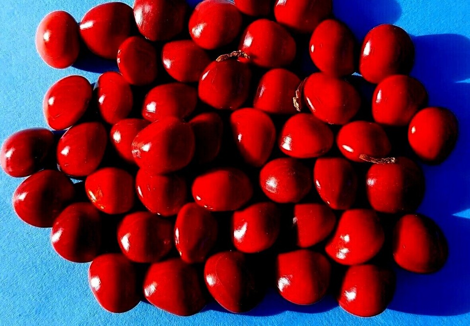 Madatiya Seeds Adenanthera pavonina Saga Seed Tree Red Sandalwood Coral ...