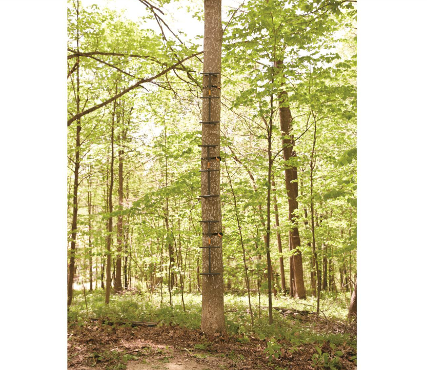 Portable 32" Climbing Sticks Outdoor Hunting Sport Tree Stand Ladder ...