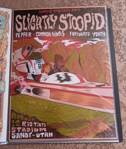 RARE SLIGHTLY STOOPID Star Wars Summer Traditions 2022 Tour Poster ...