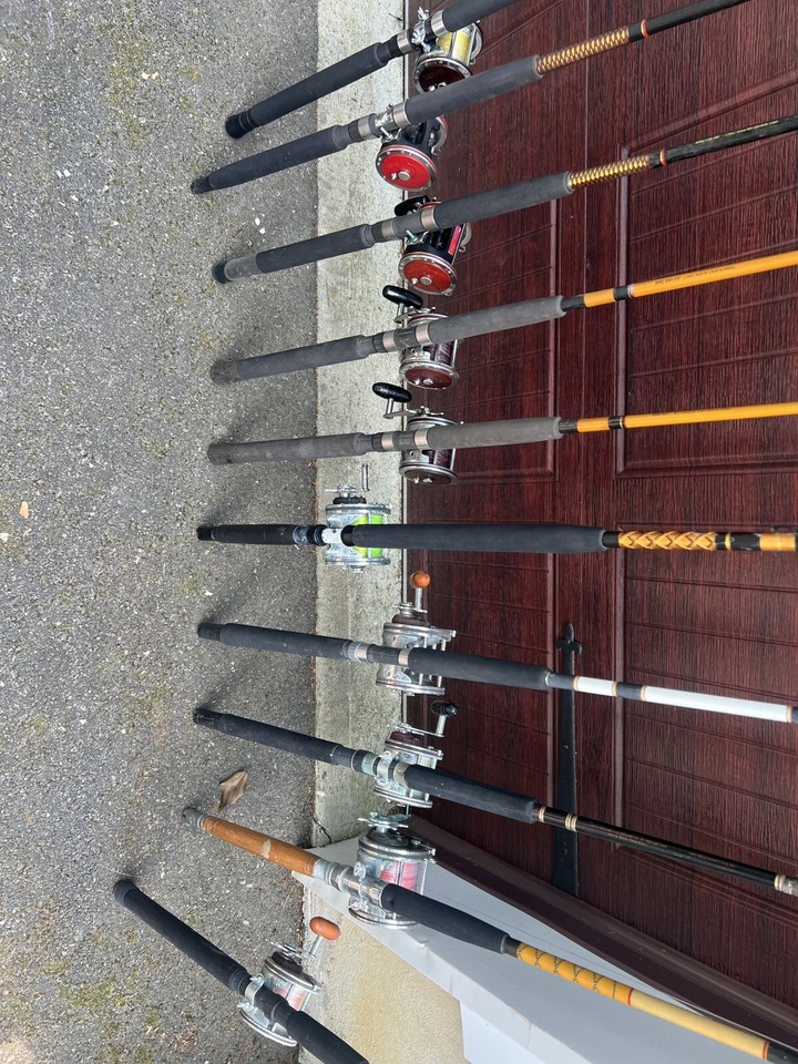 Penn Senator Fishing Rod Collection | eBay