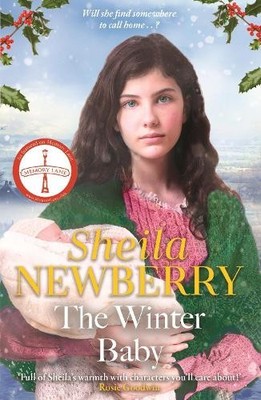 Sheila Newberry The Winter Baby (Tascabile) | eBay