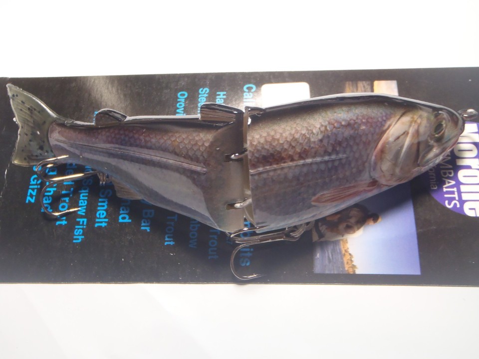 Morone Swimbaits 2 Sacramento River Splittail Striper fishing Glide ...