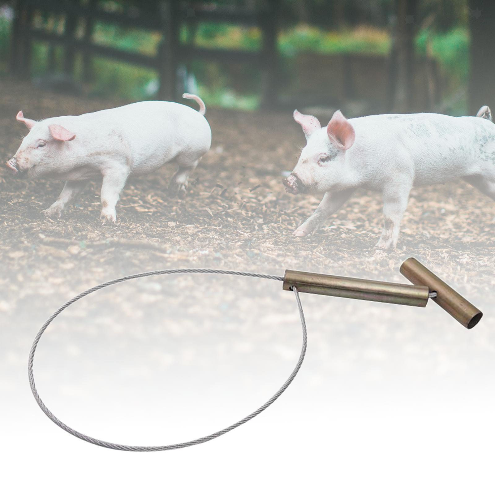 Pig Holder Cable Catching Long Pole Hog Catcher for Livestock Dog Farms ...