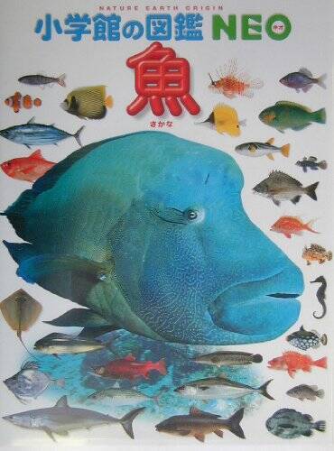 (Picture book NEO Shogakukan) fish (2003) ISBN: 4092172044 Japa - VERY ...