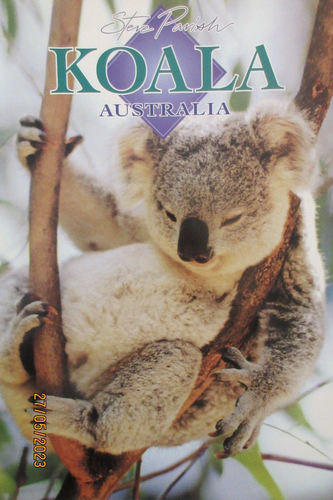 koala of australia by steve parrish book plus mini koala bear magnet | eBay