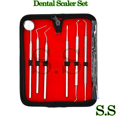 Dental Scaler Pick Stainless Steel Tools with Inspection Mirror Set 6 ...
