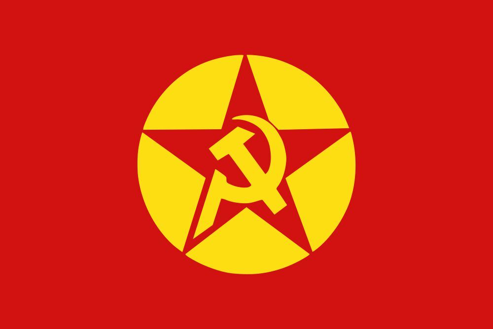 Dmdk Party Flag