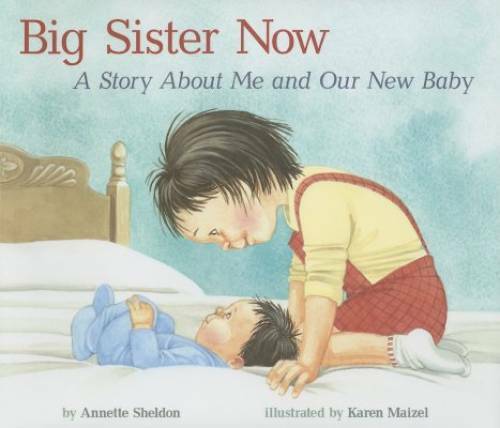 Big Sister Now: A Story about Me and Our New Baby - Hardcover - GOOD ...