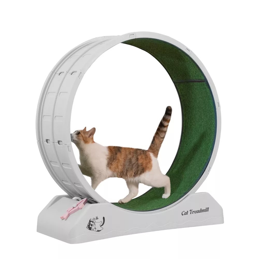 Cat Exercise Wheel Plastic Running Wheel Cat Toys Indoor Cat Treadmill ...