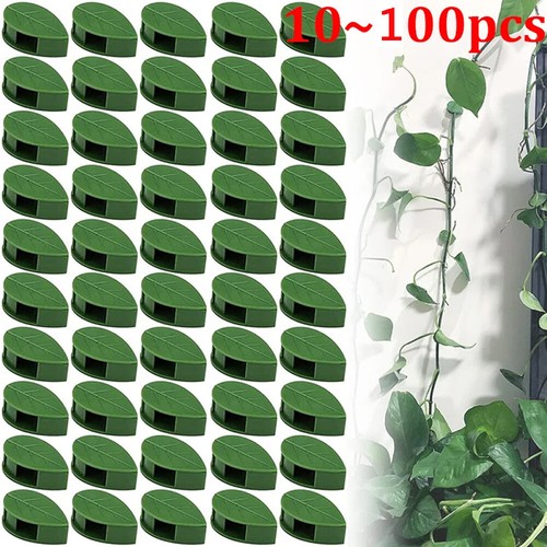 50/100Pc Invisible Vine Plant Clips Rattan Plant Climbing Wall Clip ...