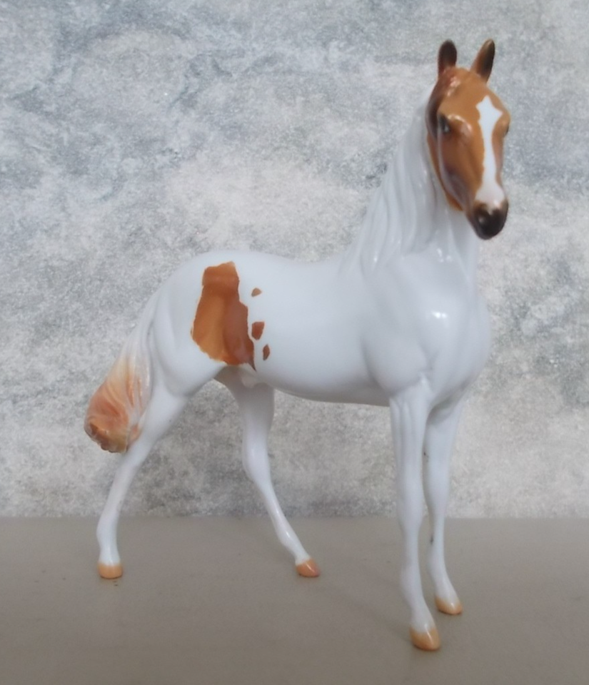 2008 Peter Stone Little Expo SR Glossy Chestnut Pinto FCM Chips Morgan ...