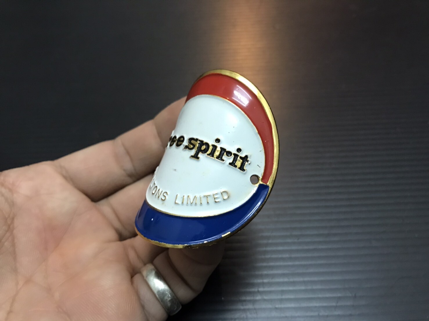 NOS Vintage Waltons Free Spirit Badge Embelm Name Plate Original old ...