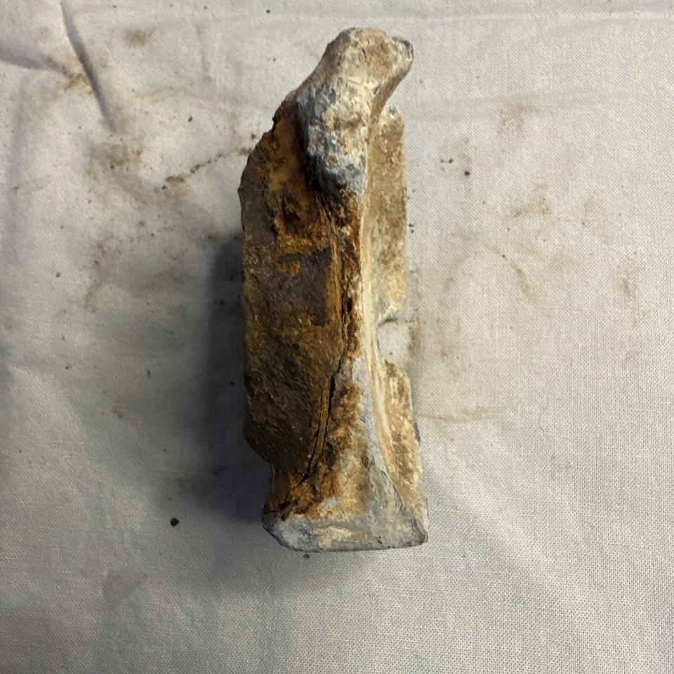 Civil War Dyer Shell Artillery Base Fired Relic | eBay