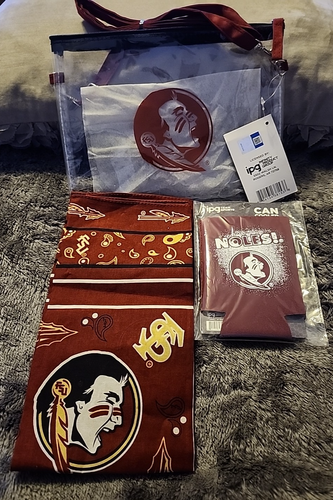 FSU Florida State U. Seminoles Clear Stadium Crossbody Bag, Bandana ...